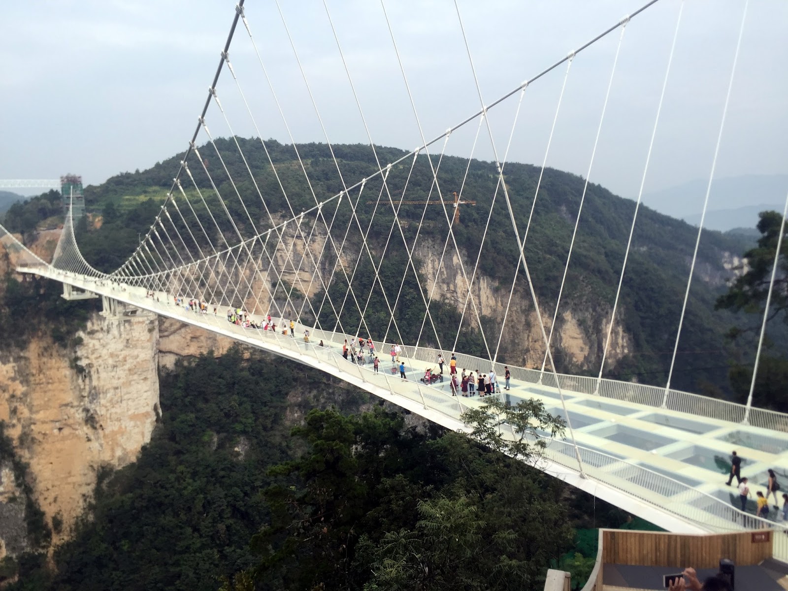 ZHANGJIAJIE NATIONAL FOREST PARK, China: World Tallest and Longest ...