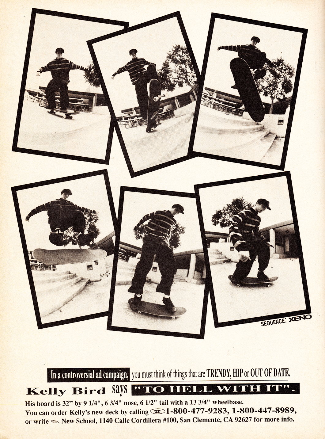 the chrome ball incident: chrome ball interview #120: kelly bird