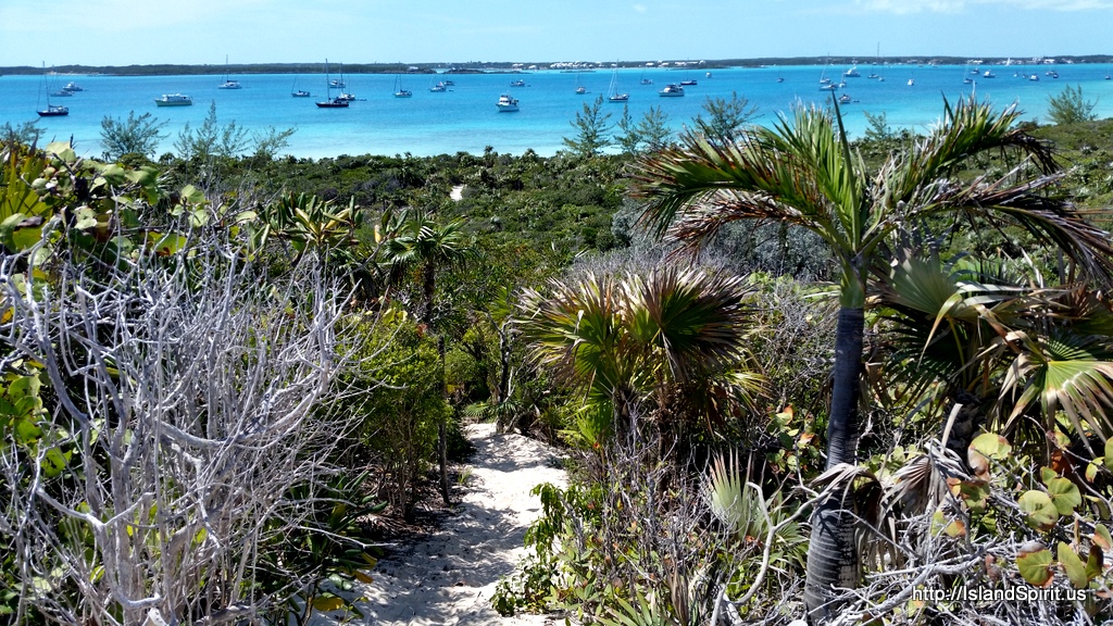 Happy Birthday Radeen - svIslandSpirit.com