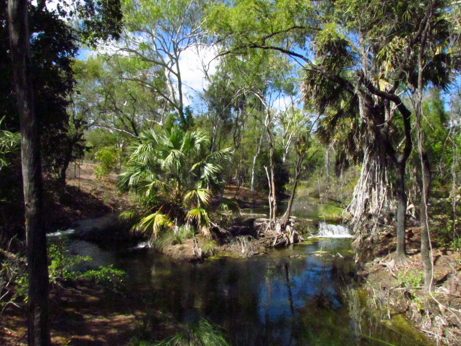 Outback Holiday: We of the Never Never - Mataranka