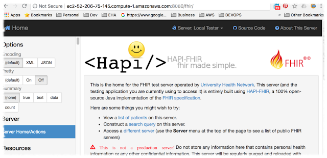 Data. Analytics. Code. @Everywhere.: HAPI FHIR Example Server Using Docker on AWS