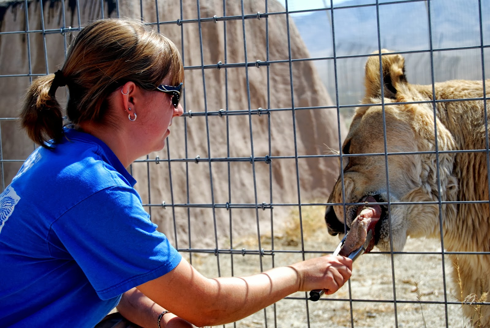 Nevada Magazine: Special Events at Safe Haven Rescue Zoo