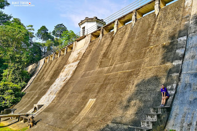 Bukit Tokun 大山脚卓坤山[必拍]大树 - 乐飞翎 ♥ LUVFEELIN