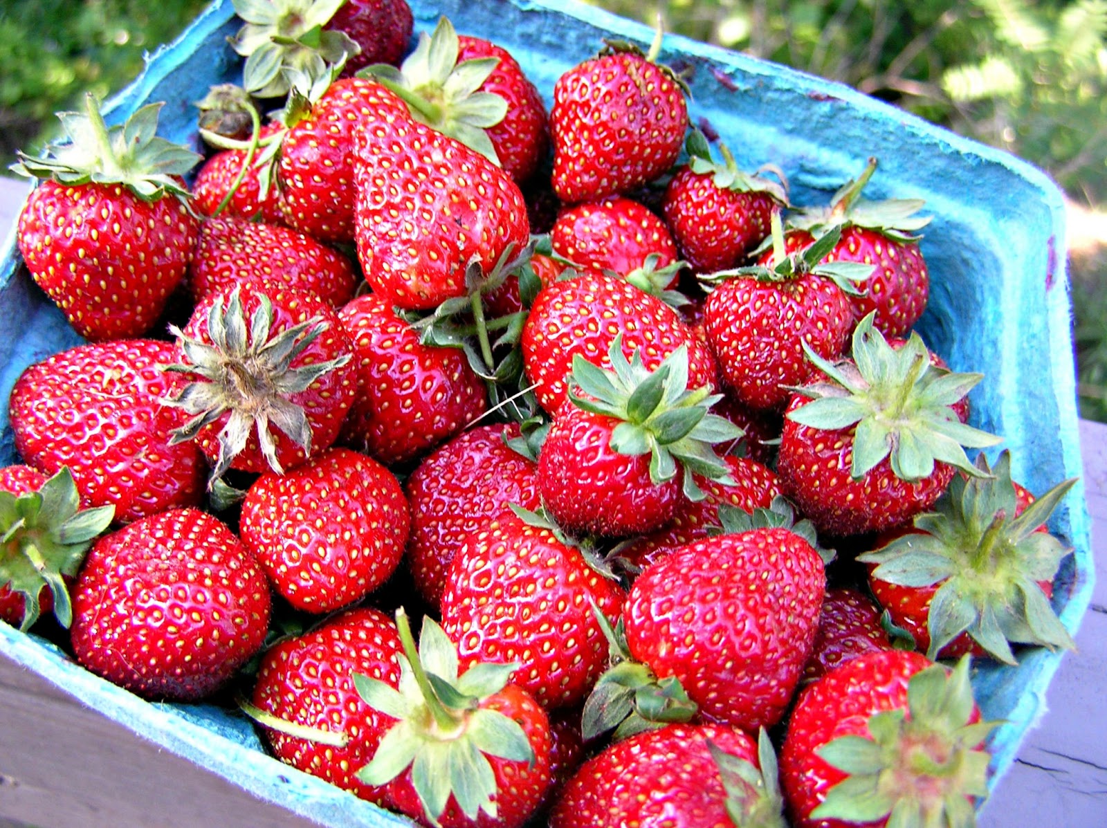 Splendid Little Stars: luscious strawberries