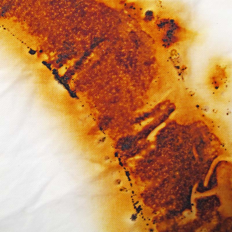 Jennifer Coyne Qudeen: The beauty of it all