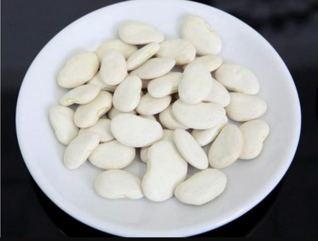 Feijão Fava ( fassuliyah )