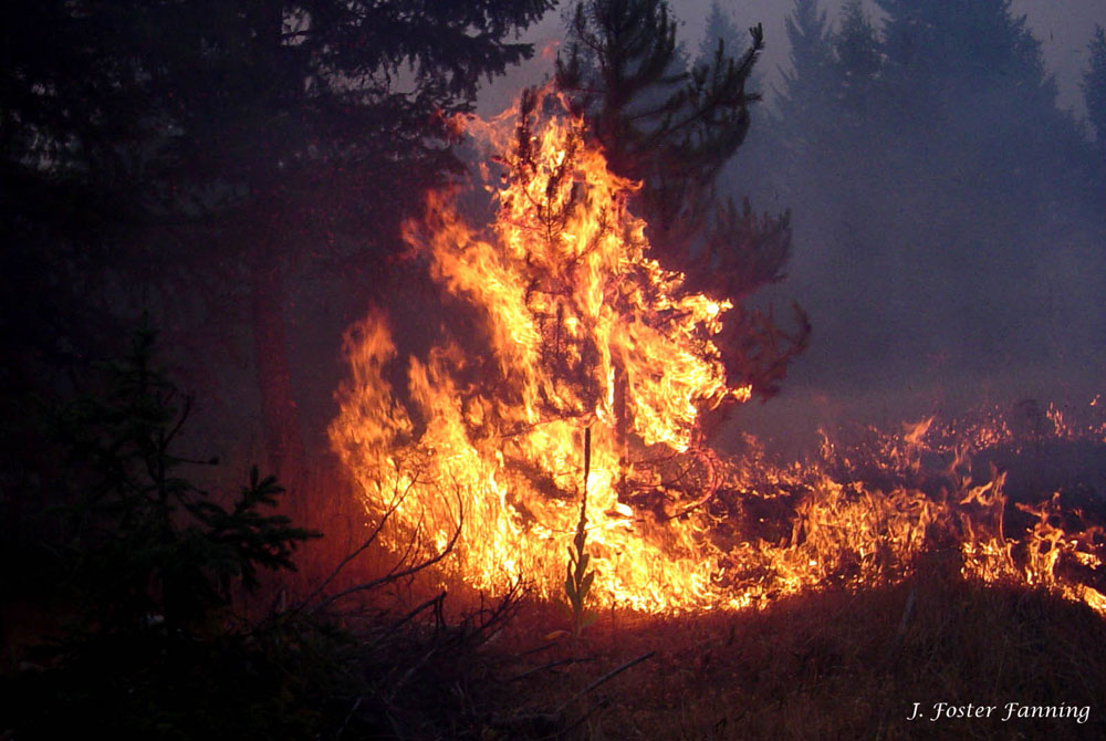 The Okanogan Highlands: Fire Ecology - Okanogan Highlands