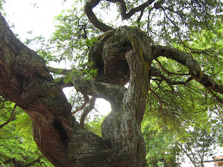 DESIERTO TROPICAL LA TATACOA: CURIOSOS LUGARES