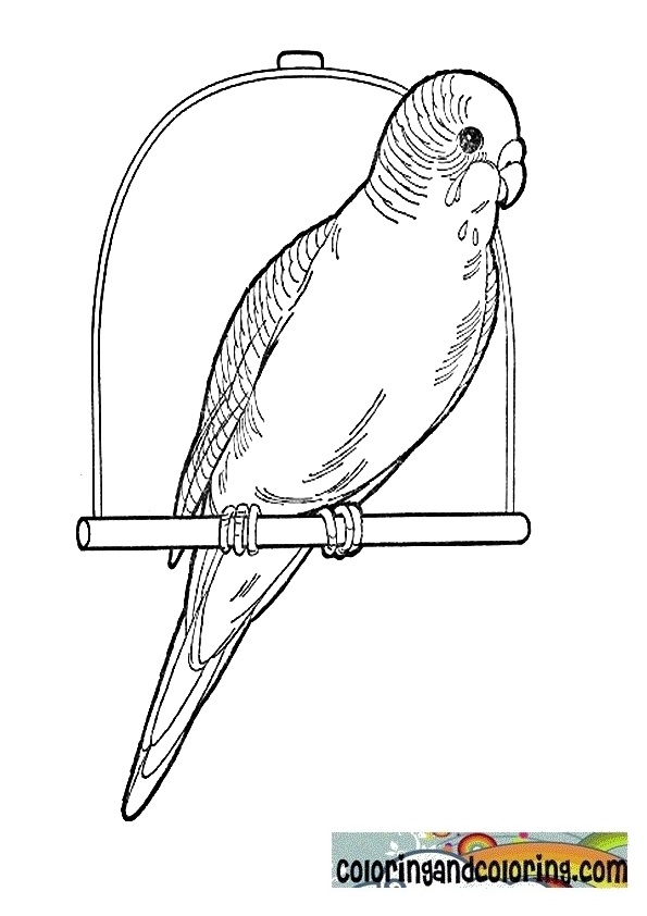 Sword Coloring Pages