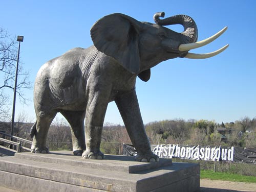 Life Is Better On Vacation: Jumbo The Elephant