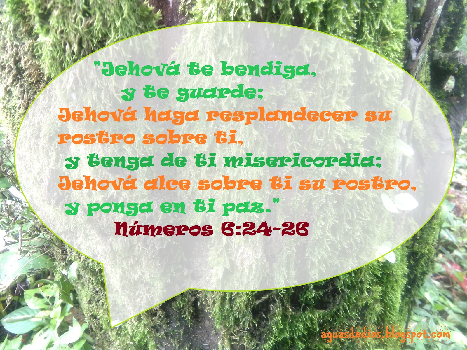 Compartamos la Palabra de Elohim: Jehová te bendiga, y te guarde ... Compartamos la Palabra de Elohim: Jehová te bendiga, y te guarde ...