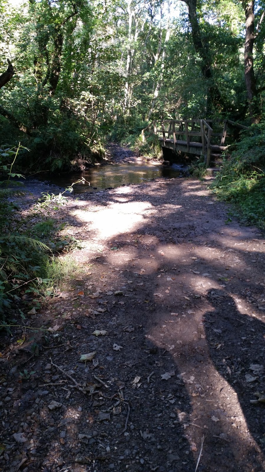 Gone for a walk....: Part 1, Welcombe Mouth to Morwenstow