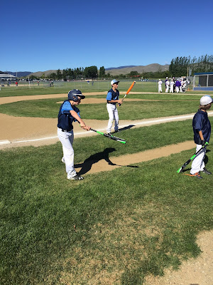 Great Falls Lightning Baseball