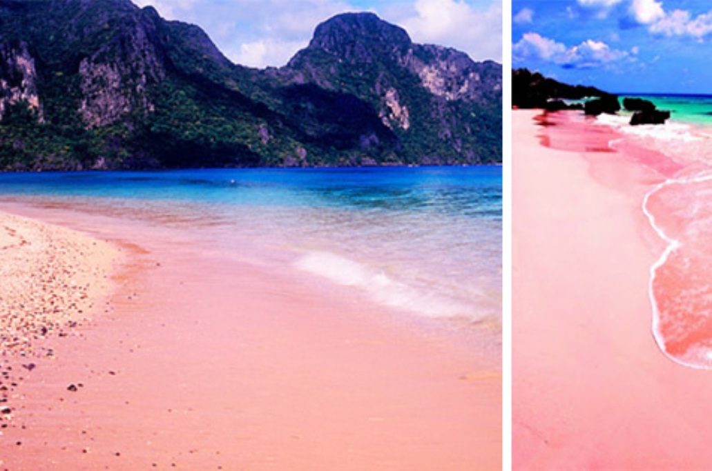 10 Pantai Keren ini Berpasir ‘Pink’, di Indonesia ada Dua Lho! | Galeri ...