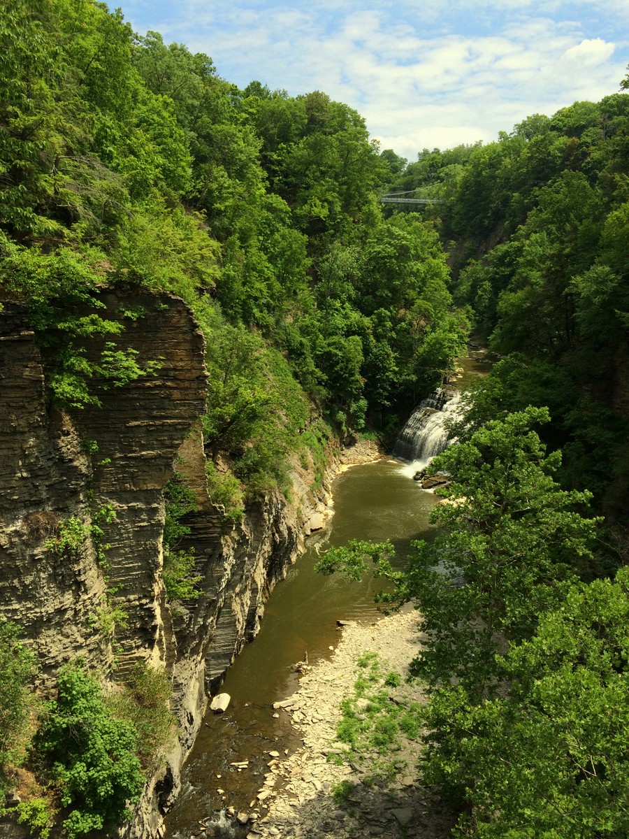 Woods Walks and Wildlife: Welcome to Ithaca, New York