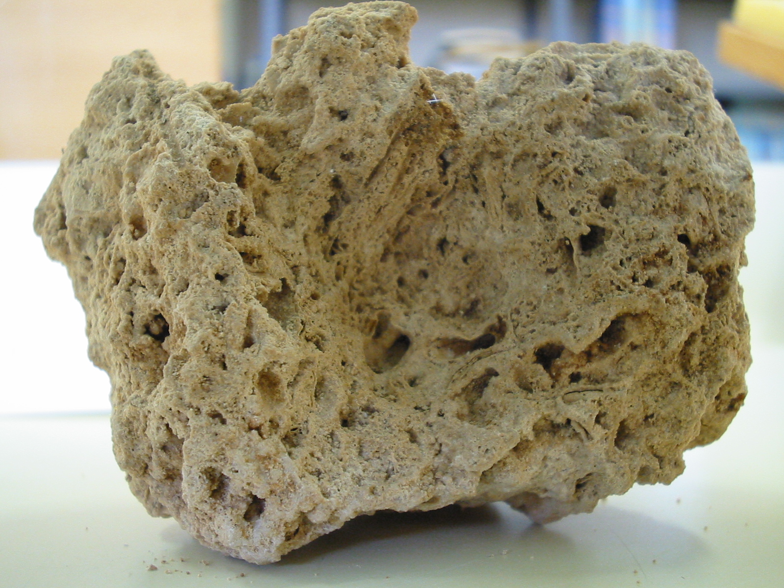 APRENDER CIENCIA INVESTIGANDO: Rocas sedimentarias