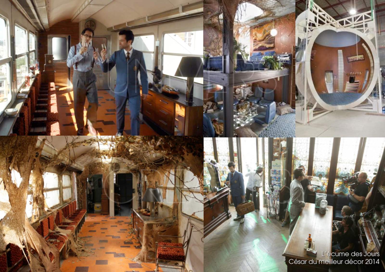 "L'écume des Jours", César du meilleur décor 2014.