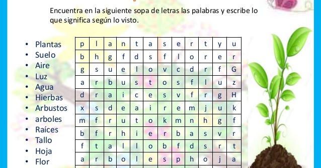 Un lugar para aprender en TERCERO: Sopa de letras plantas (la sílaba)