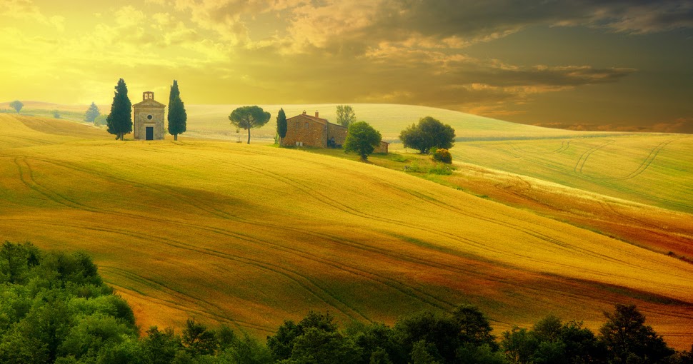 chou-genou-caillou: Du beau