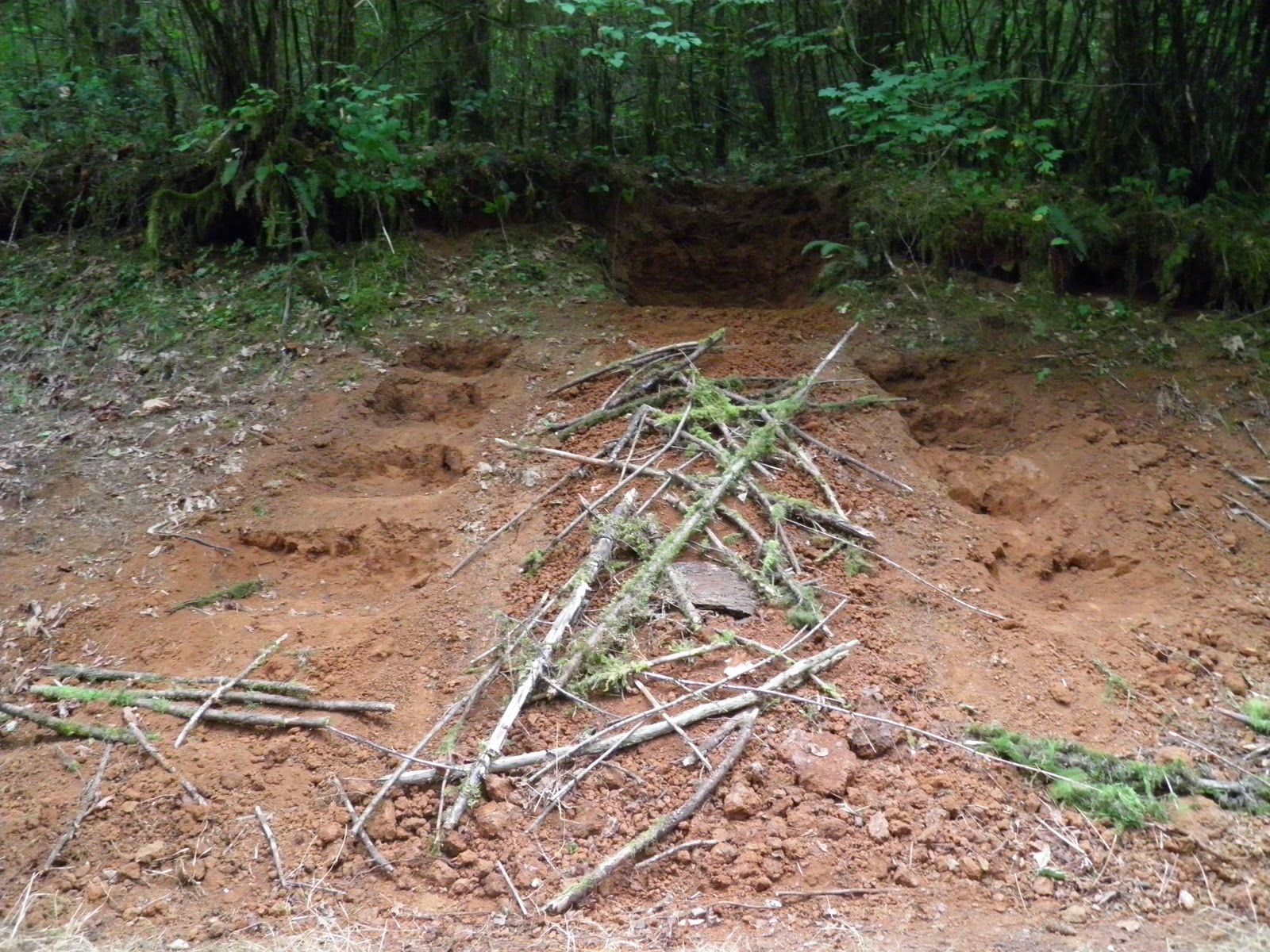 About Us: Lewisberg Saddle Soil Pit