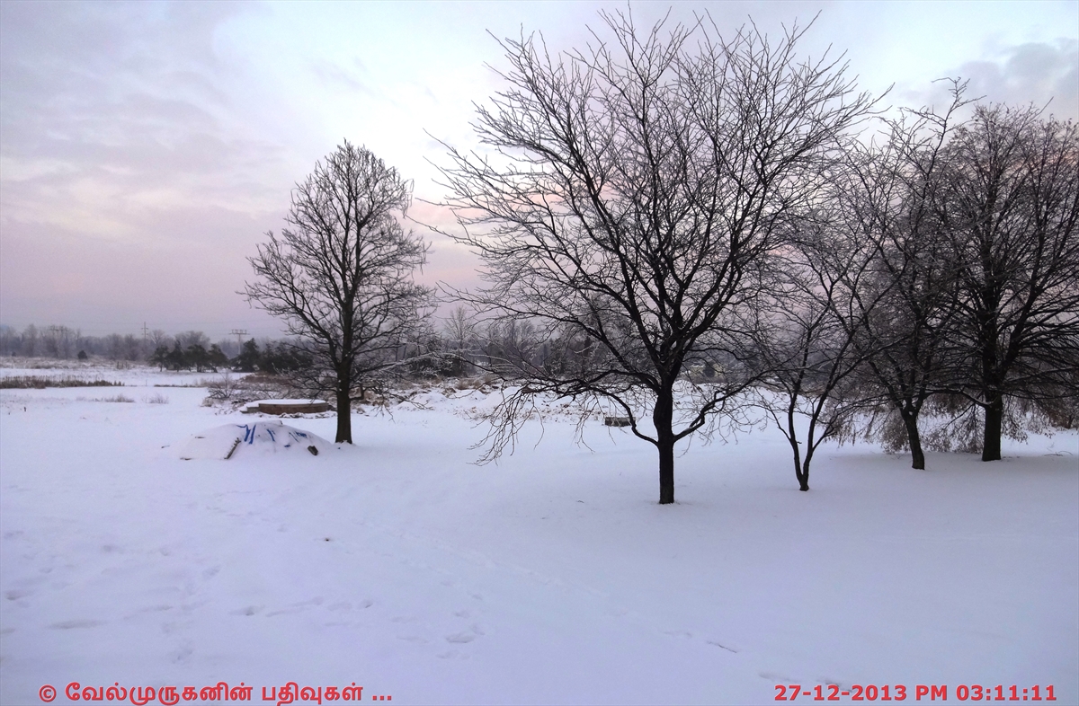 Detroit Snowfall - Exploring My Life