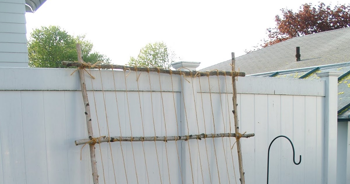 leaning string bean trellis - garden favorite