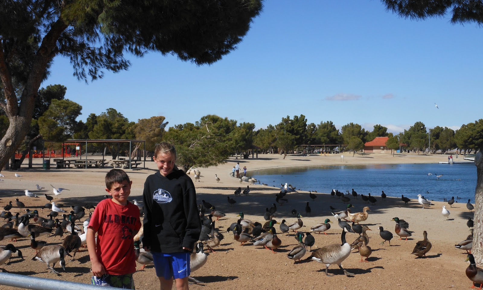 1000 Hikes in 1000 Days: Day 455: Apollo Community Regional Park