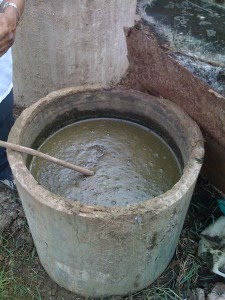 Sustainable Farming: Panchagavya Preparation