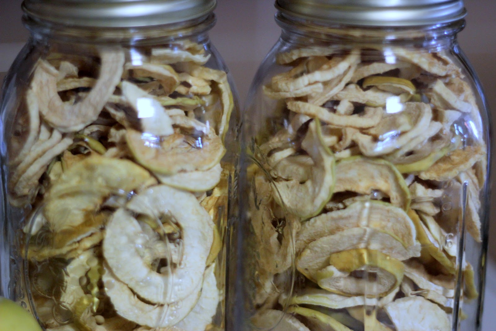The Easiest Way to Dehydrate Apples and Make Dried Apple Chips