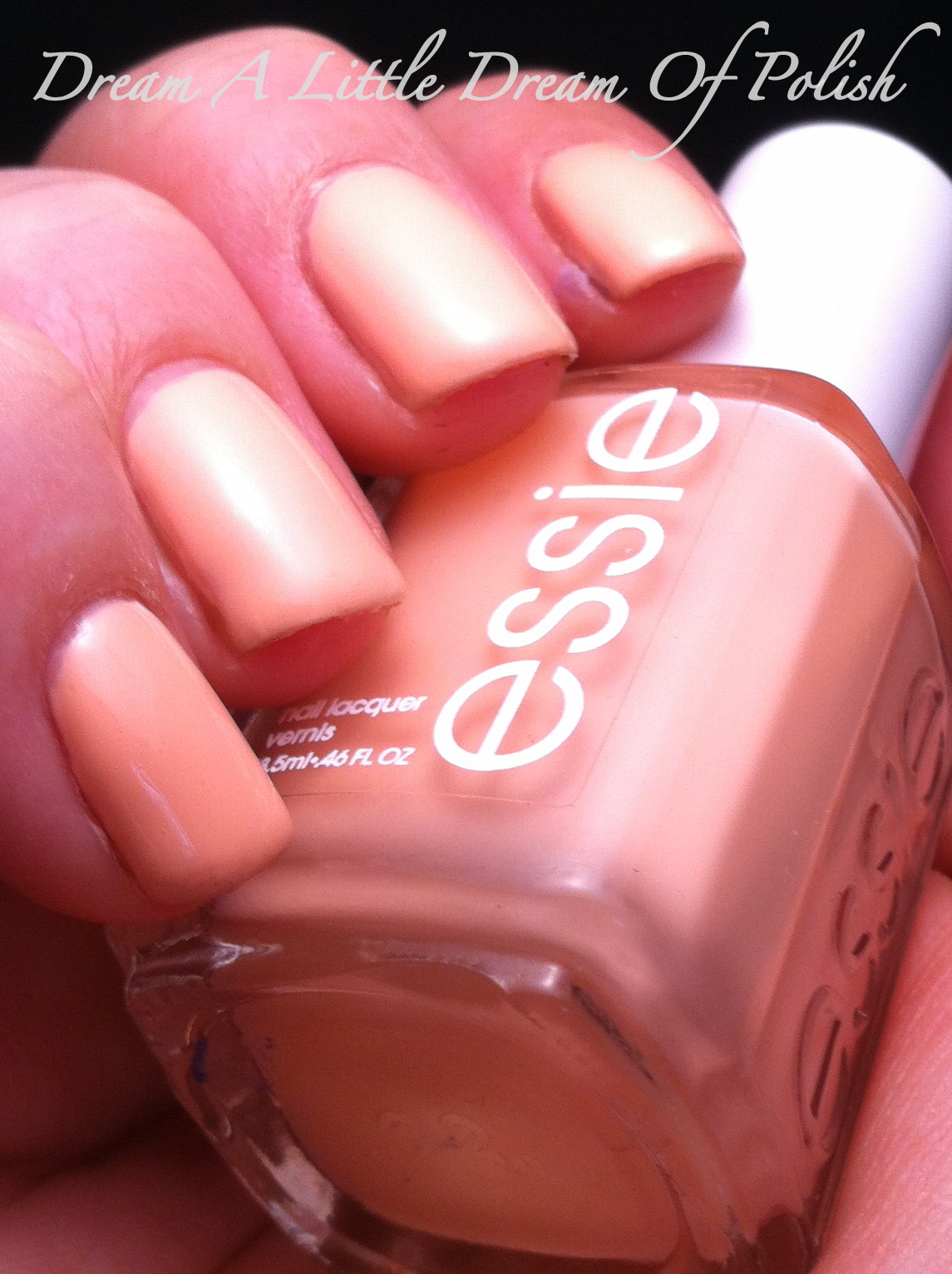 RyCoBra's Southern Nails: Georgia Peaches