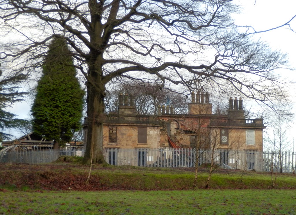 My Daily Walk: Larbert Woods