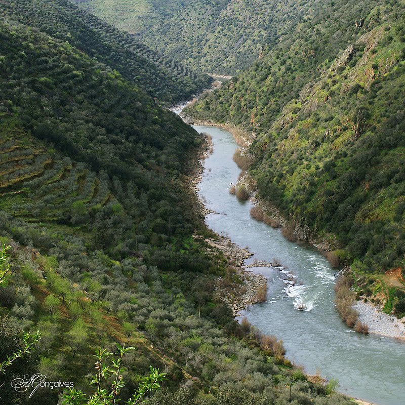 Tempo caminhado: VII Encontro pelo Rio Sabor | 8 a 10 de Junho - Lagoa ...