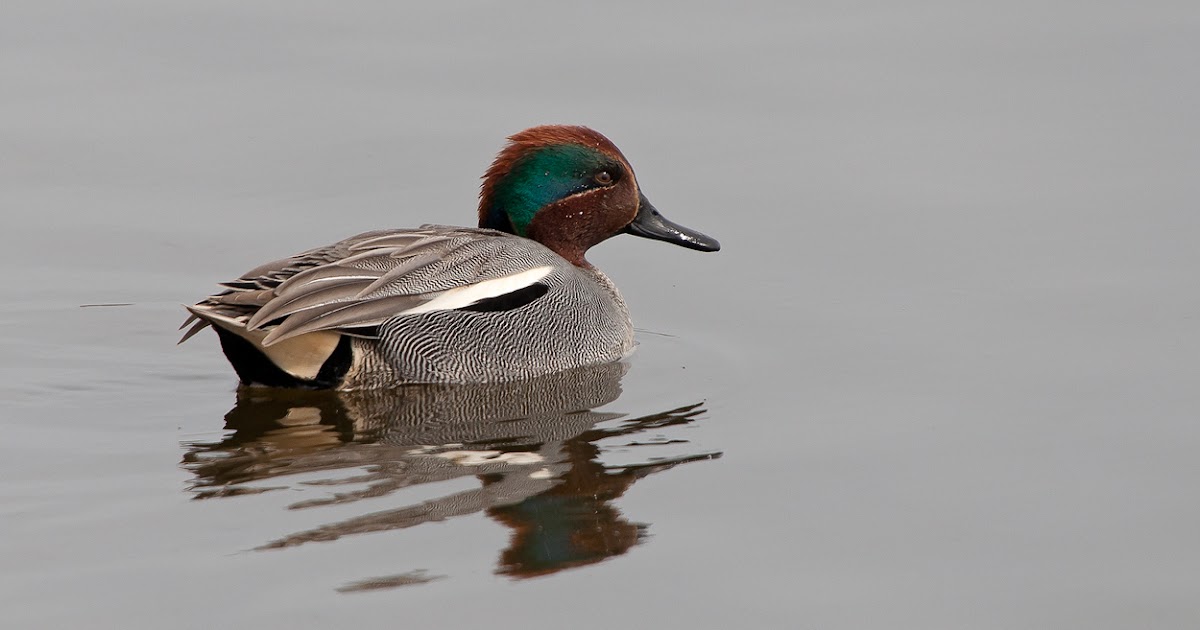 Foto's: Wintertaling