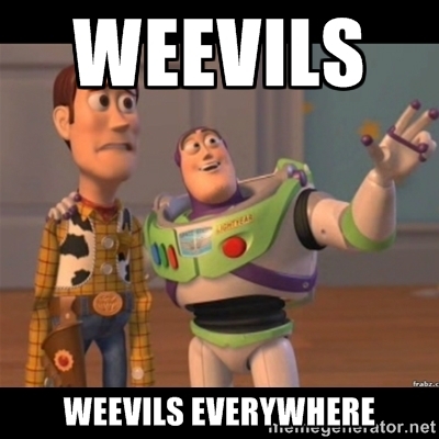 Southern In Law: Recent Things: A Jam Packed Week Full of Fun (and ...