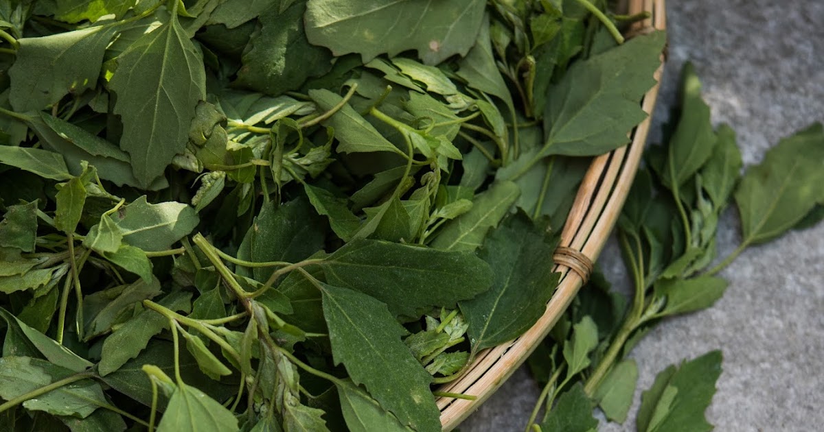 bathua ka saag / a green dip with chenopodium leaves