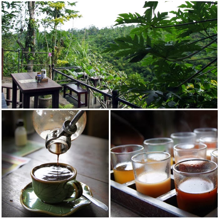 Coffee tour in Bali ~ Bali Paradise and Beyond