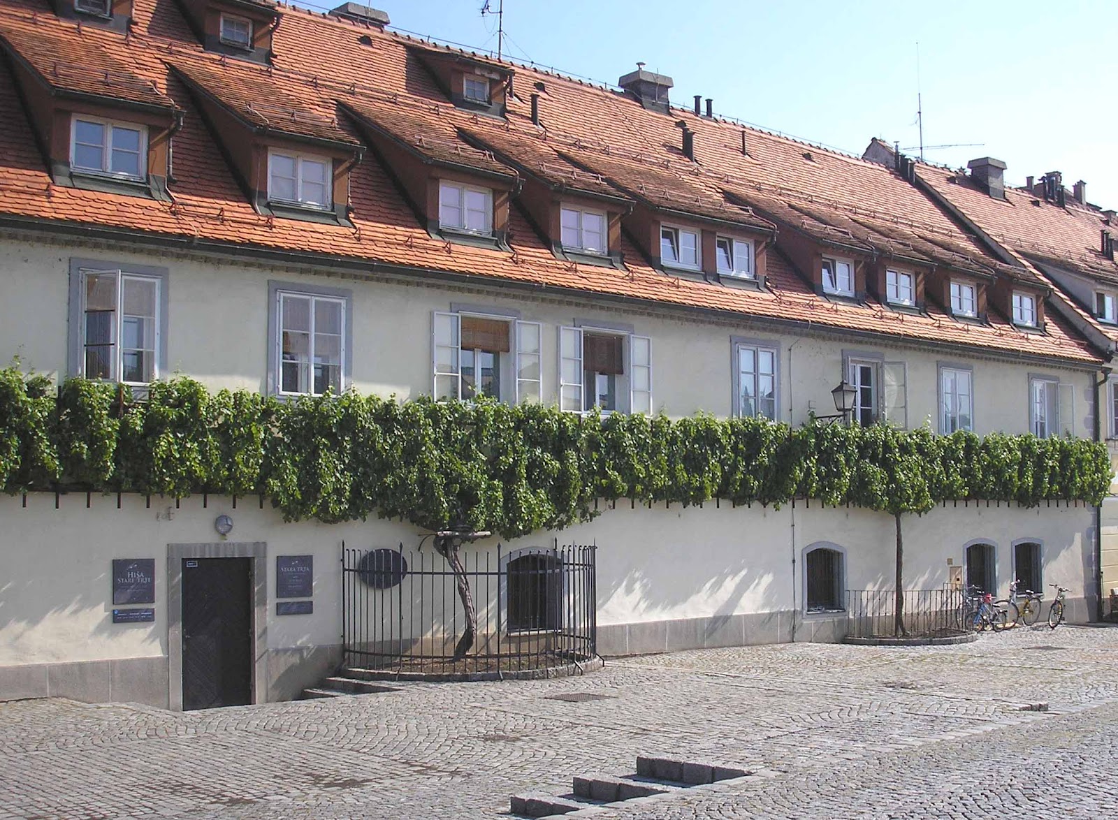 valter: Maribor e Stara Trta