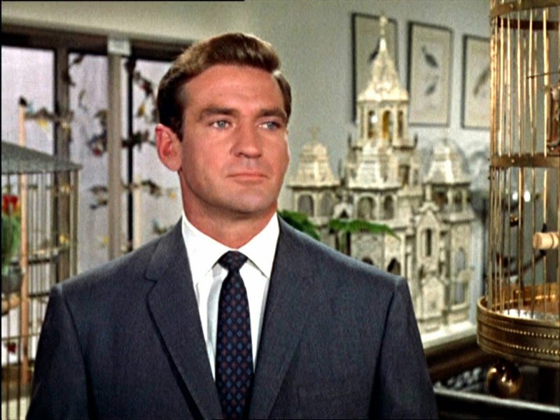 Het Schimmenrijk: Rod Taylor