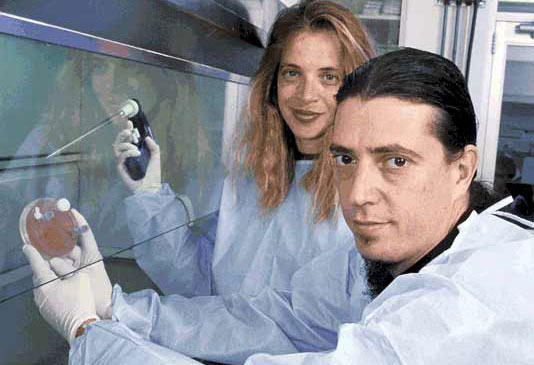 Holodeck: VICTIMLESS LEATHER