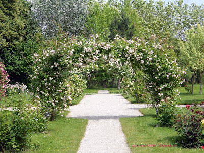 Un jardin sinon rien: La roseraie de Provins