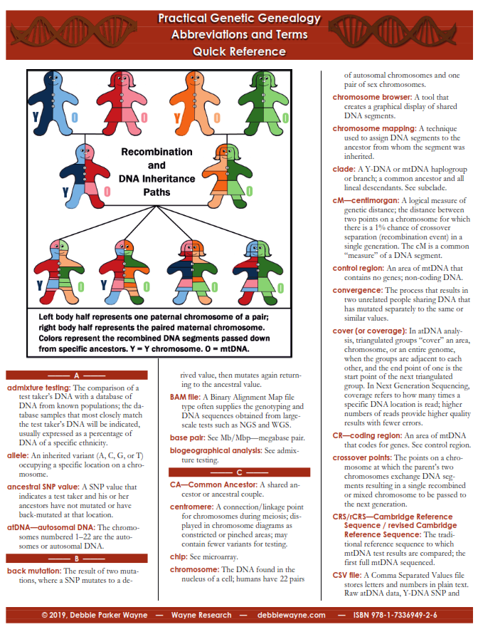 Deb's Delvings in Genealogy: Genetic Genealogy Abbreviations and Terms ...