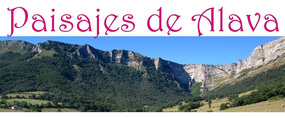 Paisajes de Alava: Encina de Artziniega (Álava)