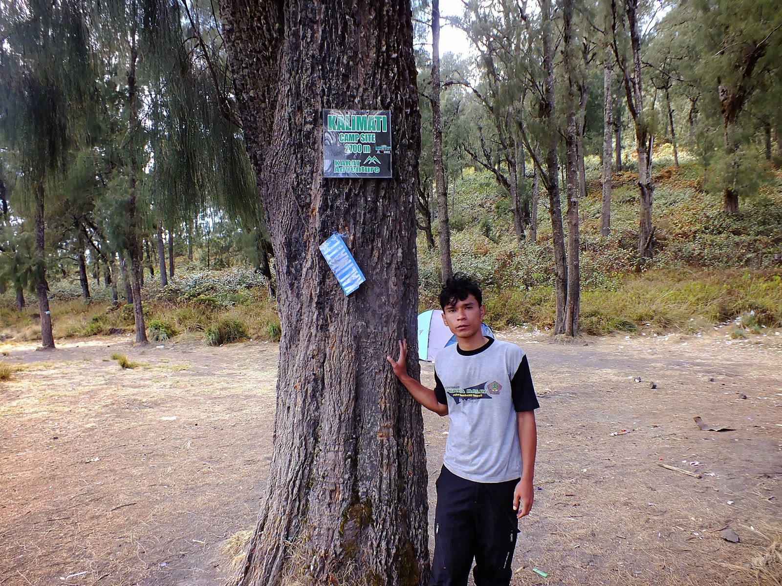 Pendakian Puncak Mahameru Gunung Semeru - Z-PLATE.NET