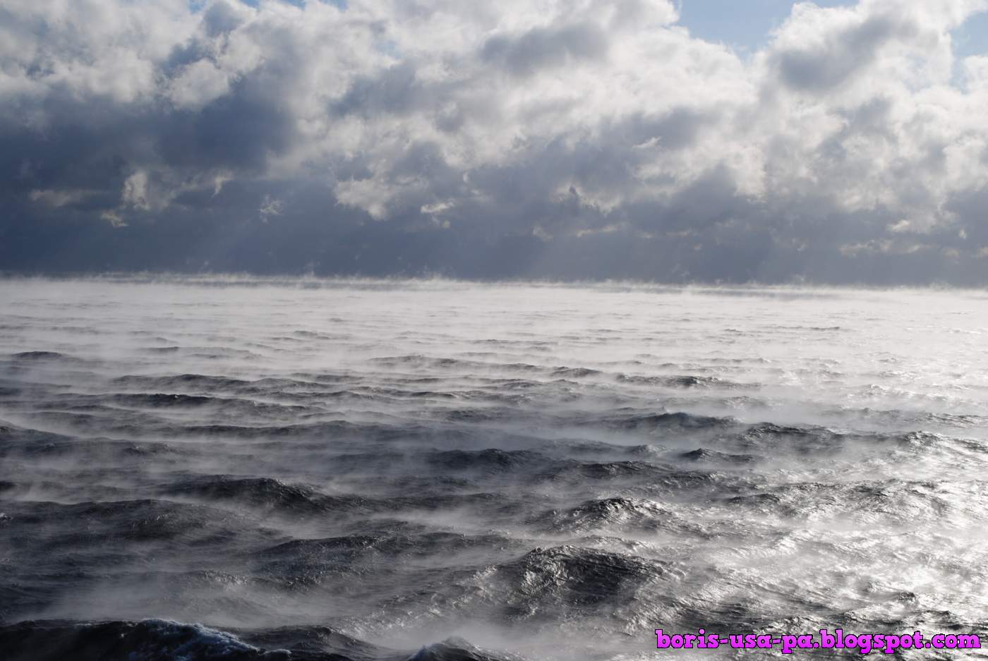 Gulf Stream | Travel from Philadelphia