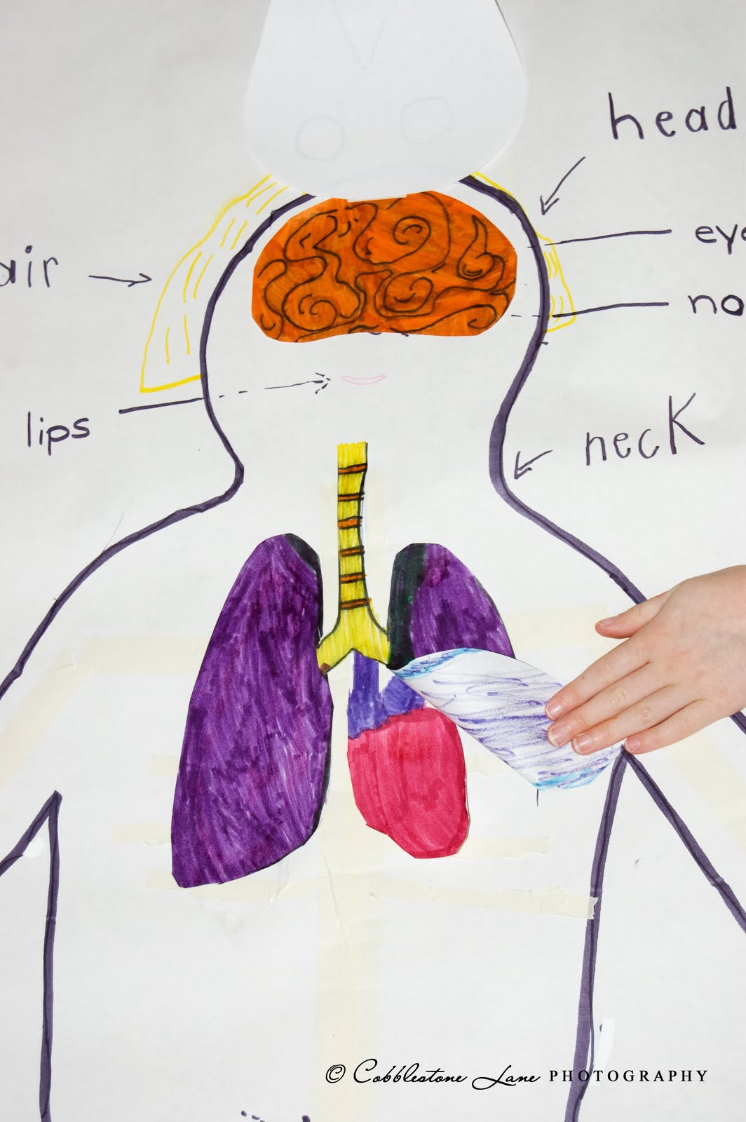 The Nature of Grace: Week's Theme: My Body (Body Mapping Activity)