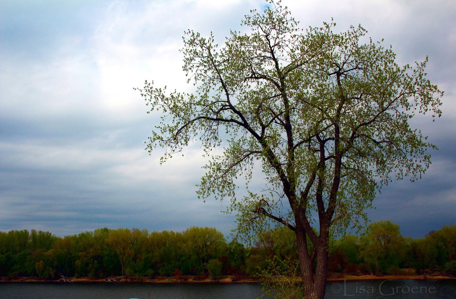 Lisa's Photo Collection: Kaposia Landing- May 2015