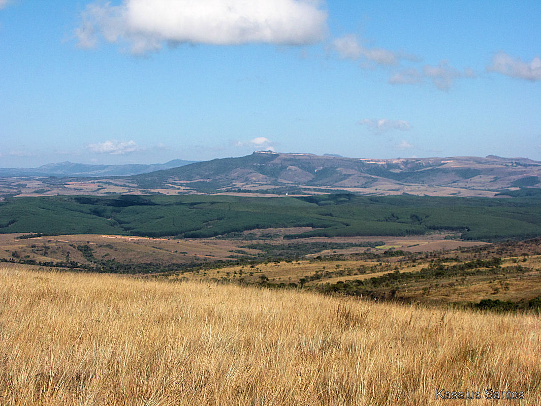SISTEMAS AMBIENTAIS DO BRASIL - BIOMAS
