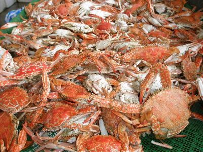 iTravelCebu: Bantayan Island Cebu,Philippines