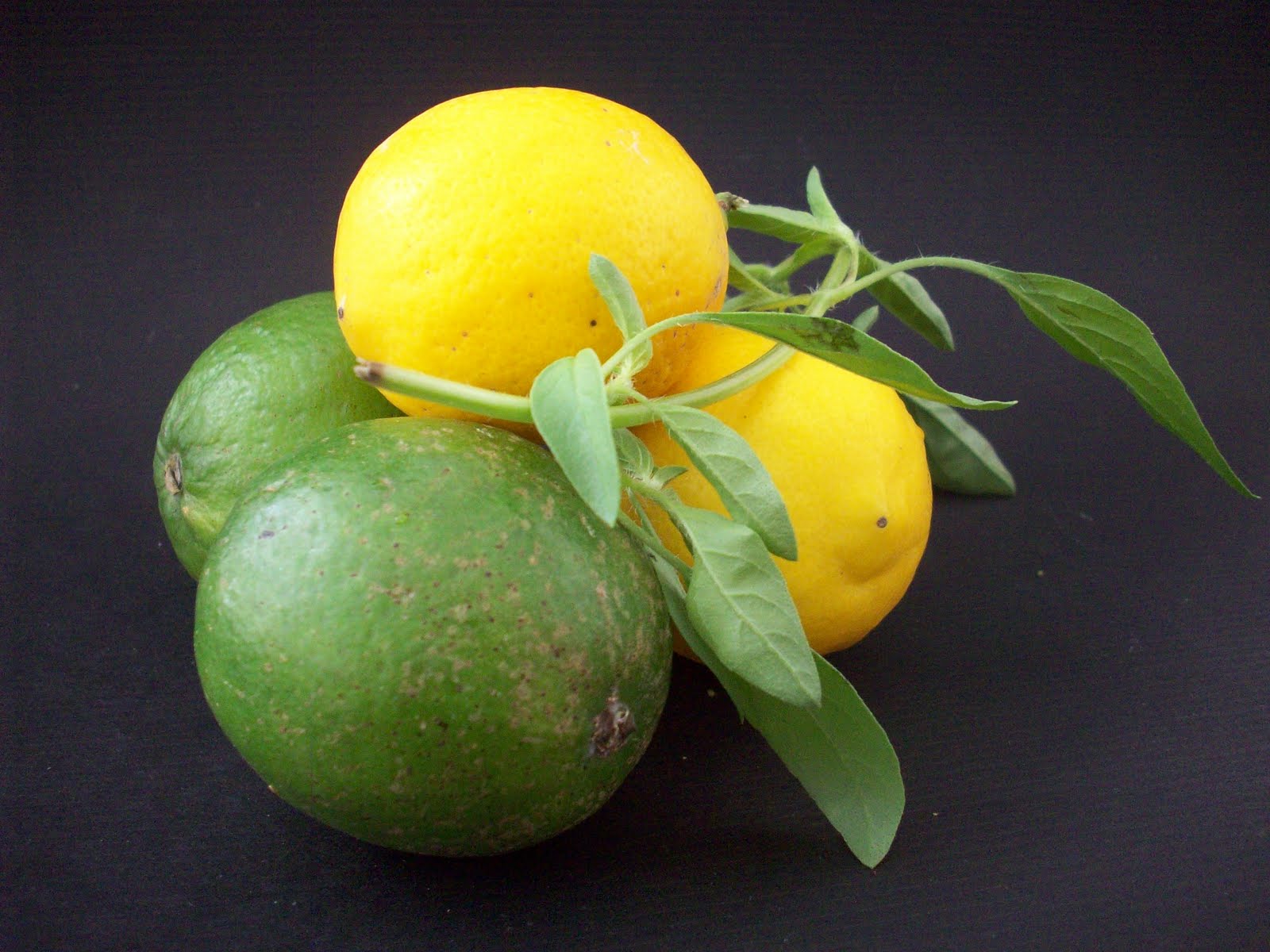 Fruits For Our Health Health Benefit Of Lemon Limes fruits-for-our-health-health-benefit-of-lemon-limes
