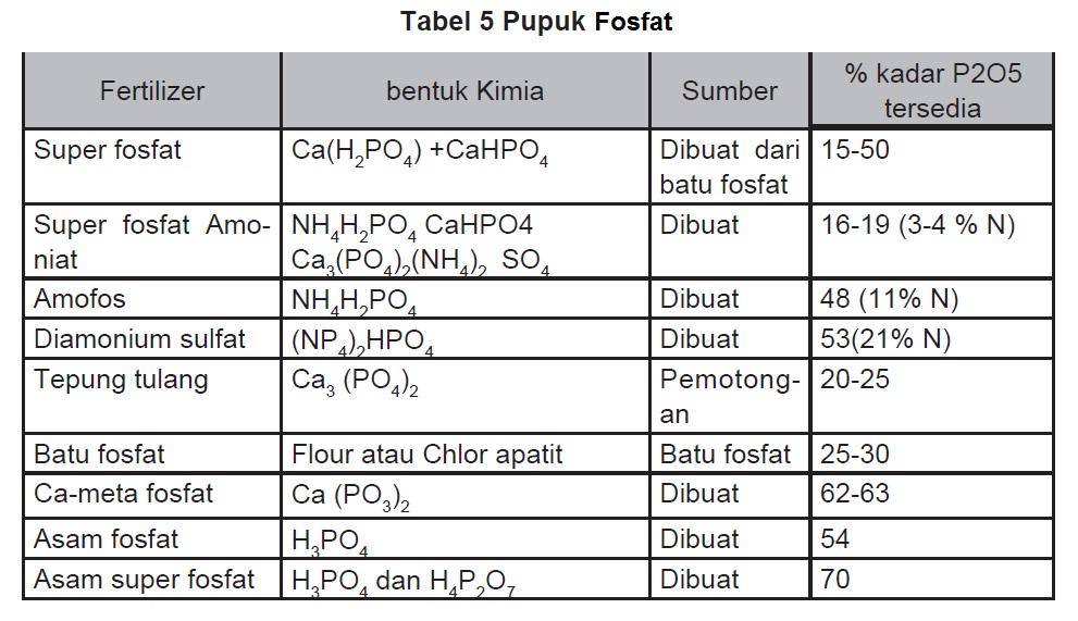 Macam-Macam Bahan Baku Pembuatan Pupuk Posfat | Saraswati Update